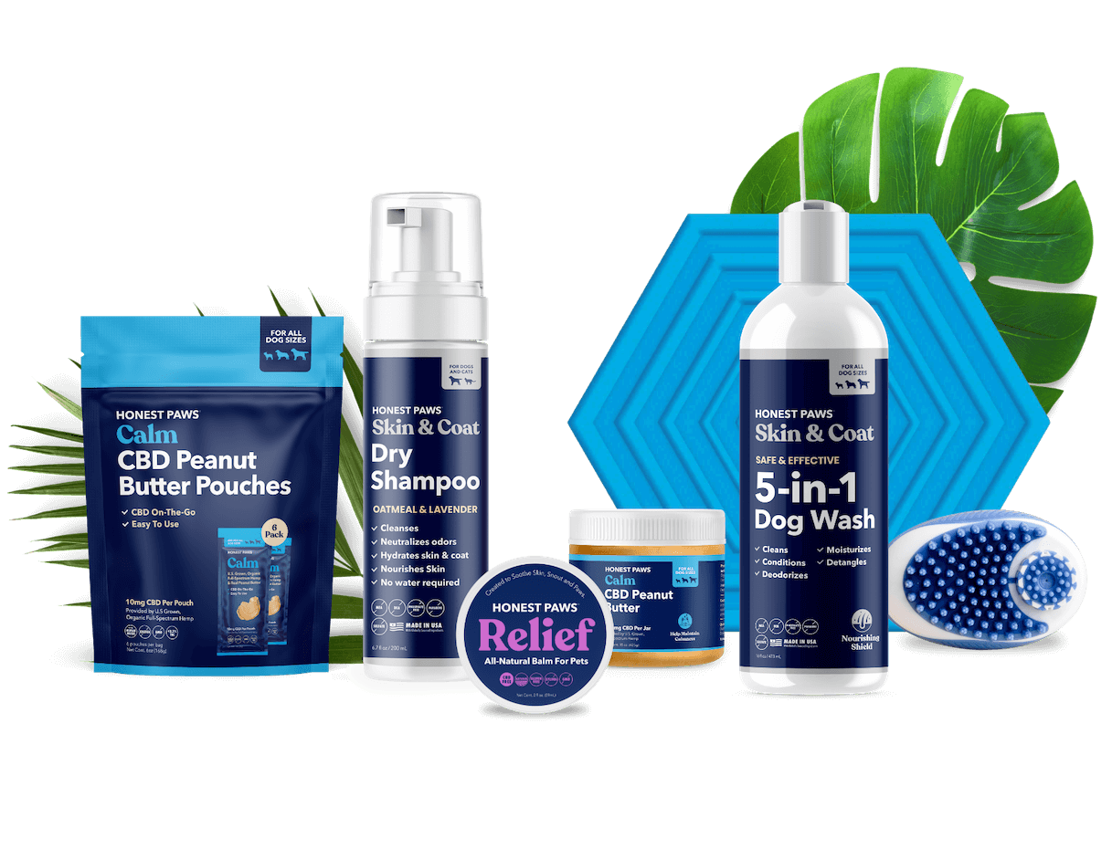 The #1 Rated Hemp Oil and Treats For Dogs | Honest Paws