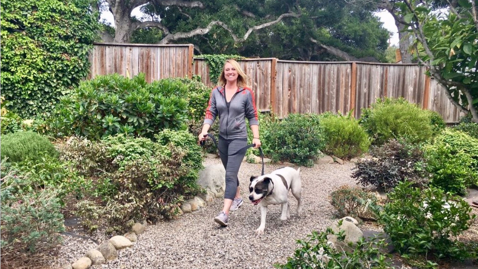 Contact | Portland Dog Trainer