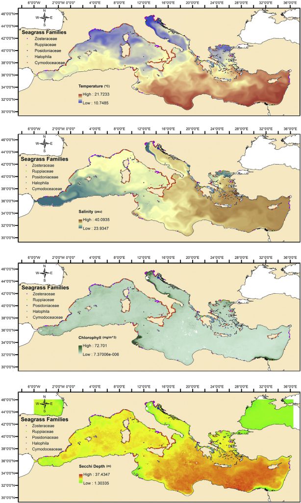 Artificial Intelligence algorithms reveal underwater life in the ...