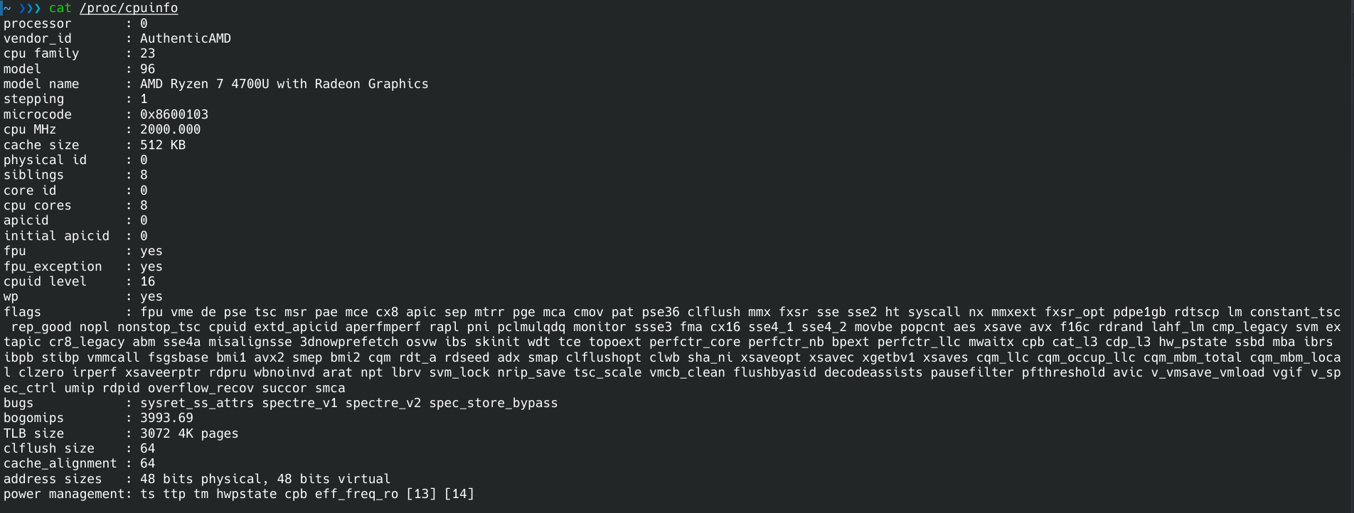 Read Cpu Flags From Cpuinfo Delft Stack