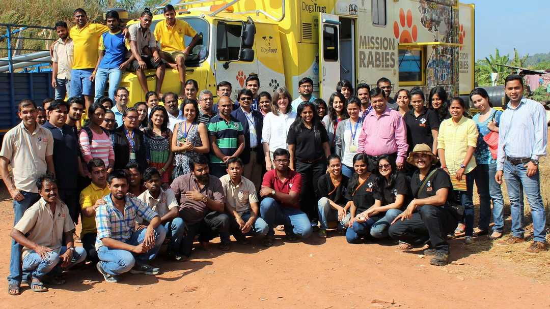 Meet the team // WVS