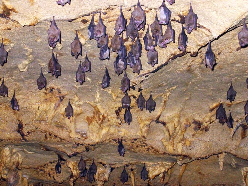 Venado Caves - Arenal Volcano Tours Costa Rica