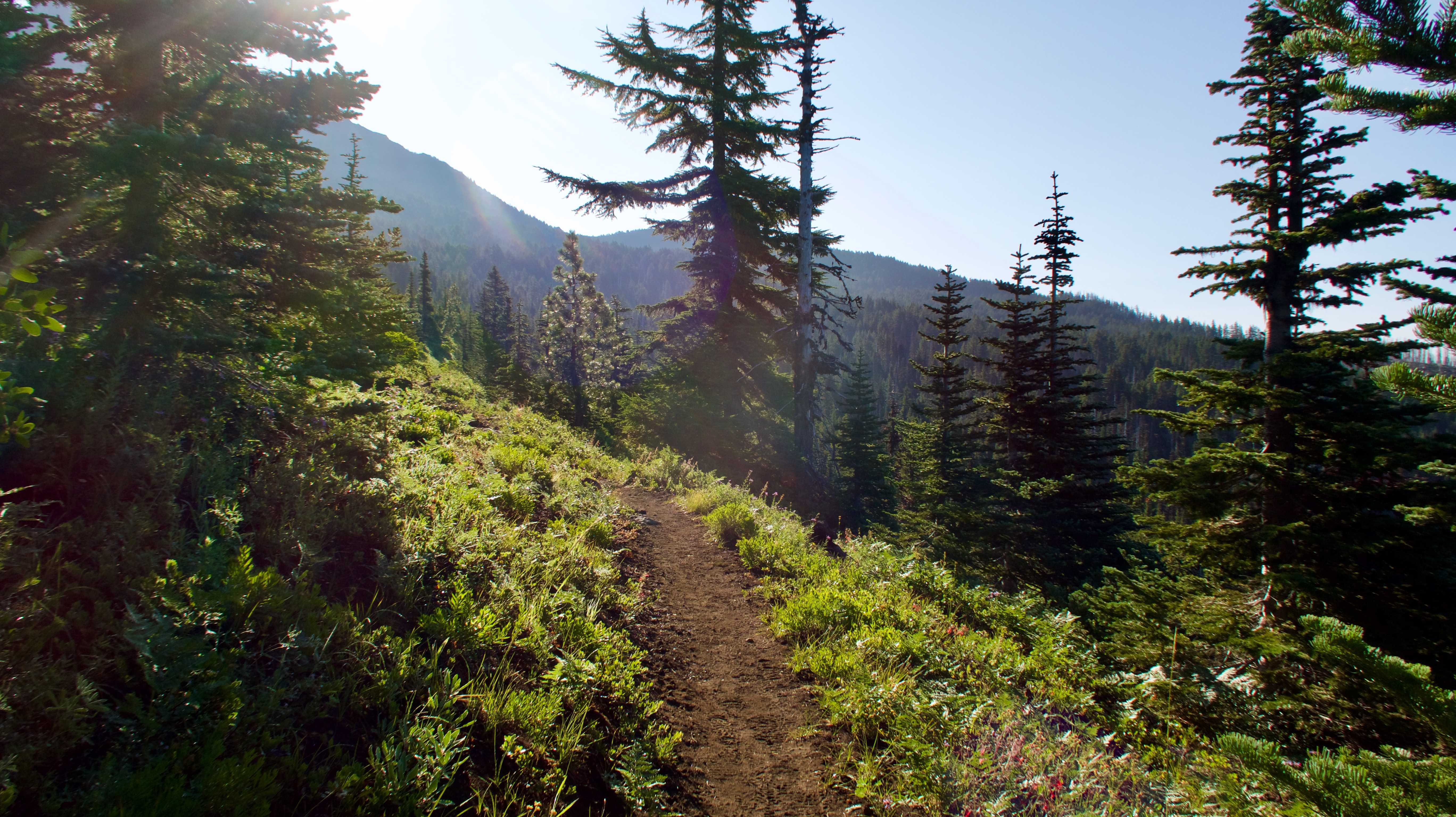 PCT 2019: Day 98, Big Lake Youth Camp to Obsidian Limited Entry Area ...
