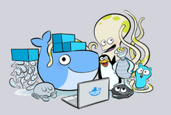 Phanor Coll - Fullstack Developer