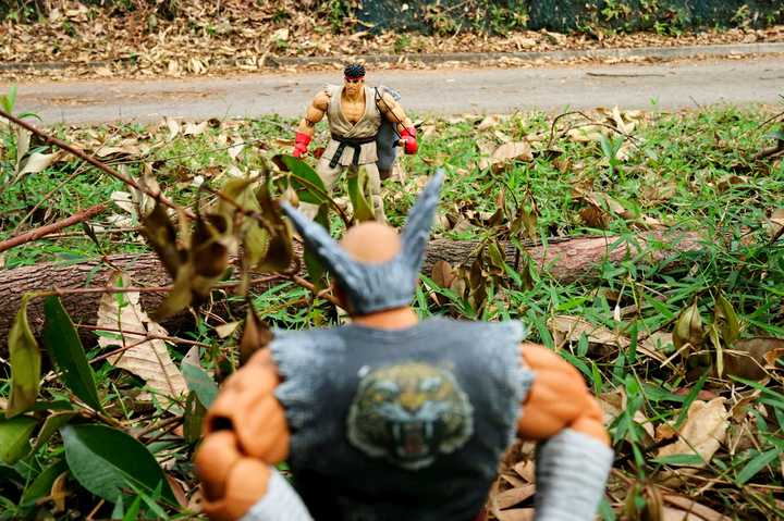 Ryu VS Heihachi Mishima | Figround