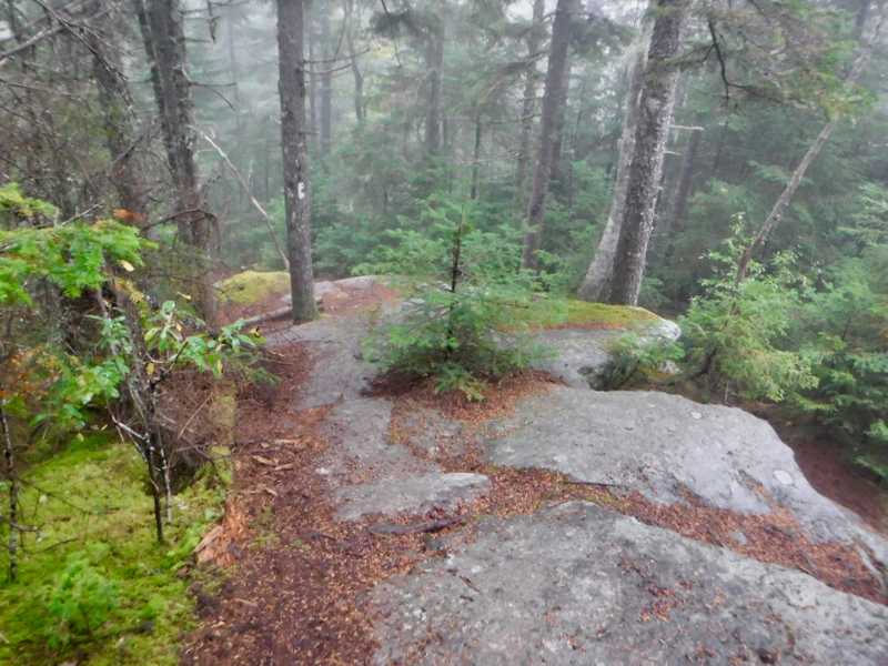 AT 2017: Day 162, Poplar Ridge Lean-to to South Branch Carrabassett ...