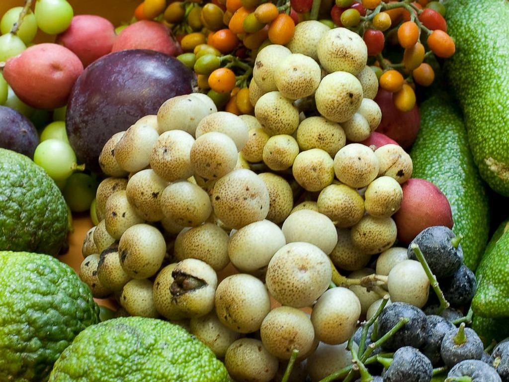 Aboriginal Bush Tucker Lunch experience at the Garden 2020 | UpNext