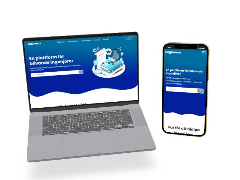 Renas Hassan - Portfolio