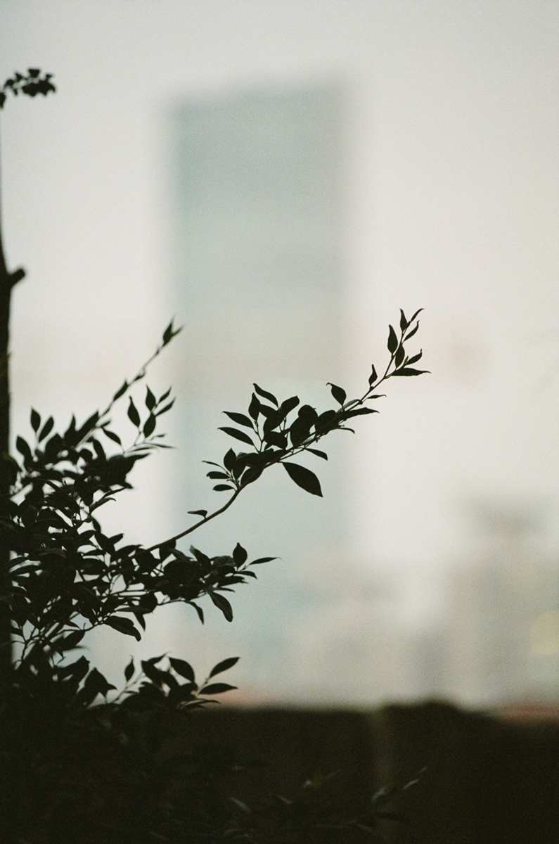 Nicholas Eckhardt