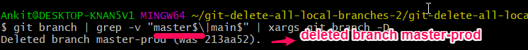 Delete All Local Branches in Git | Delft Stack
