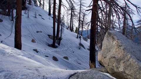 PCT 2019: Day 15, Fobes Ranch Trail Jct. to Tentsite at Mile 176.4 ...