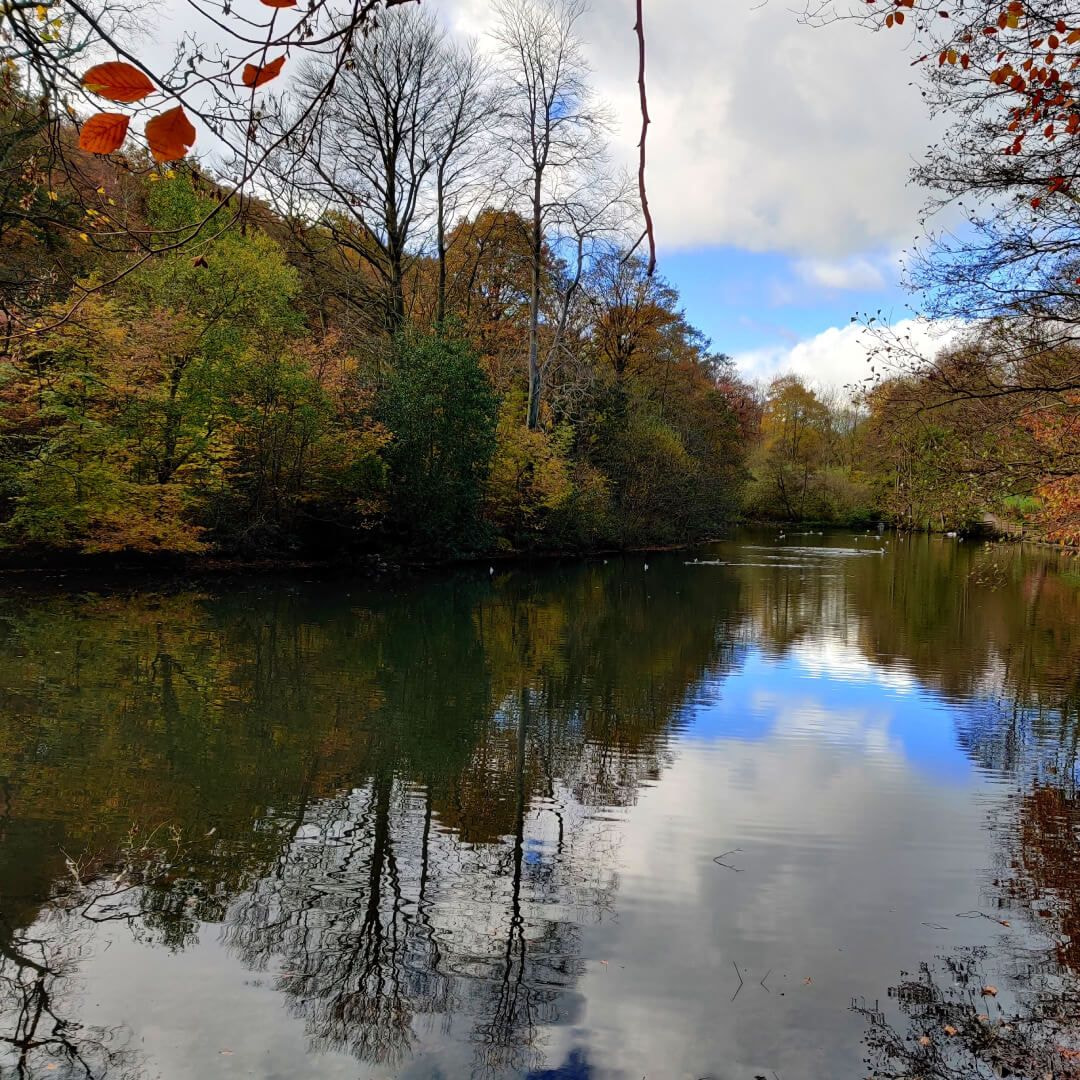 Gledhow Valley Woods - Discover Leeds