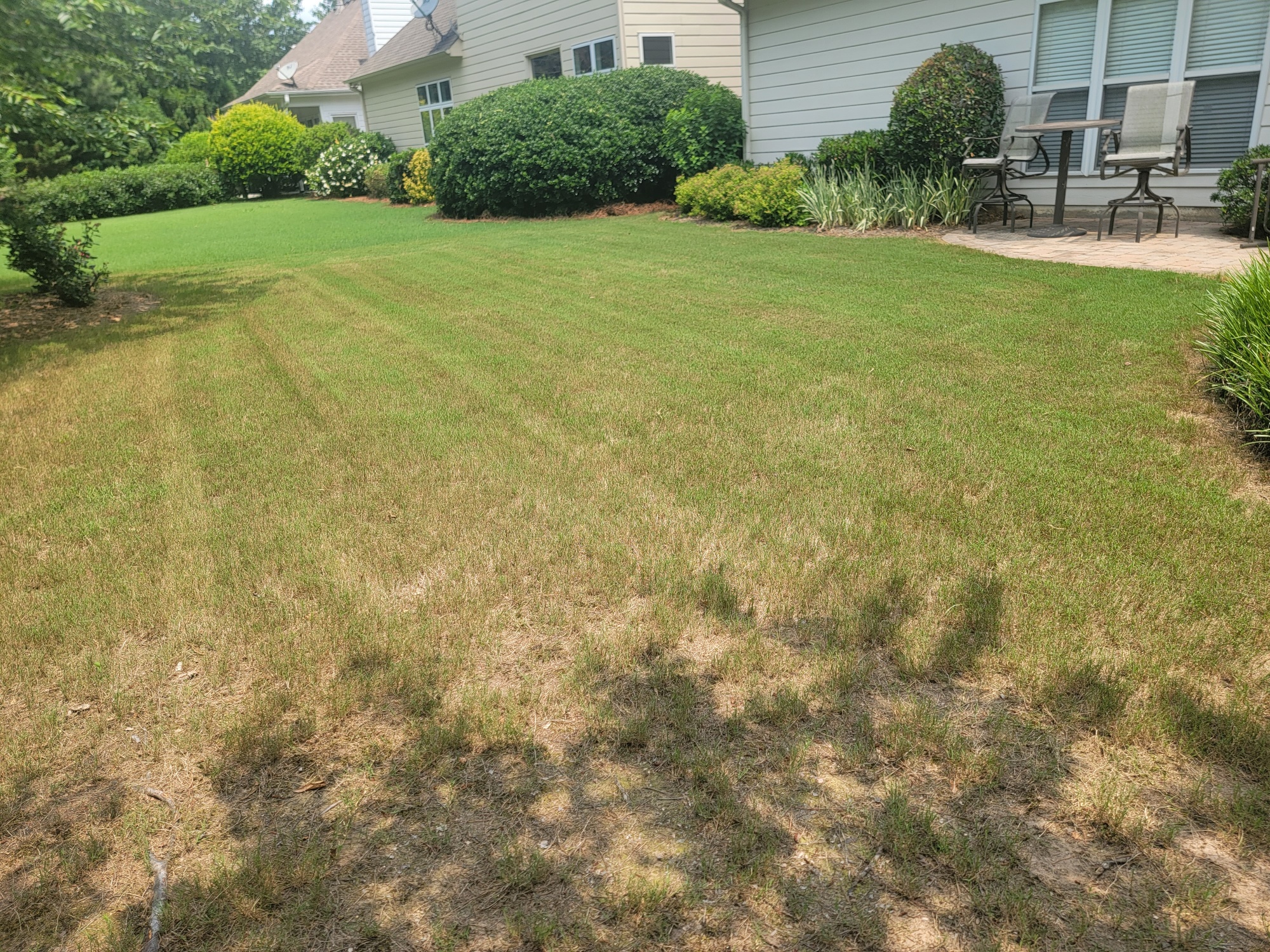 Hector the Lawn Inspector
