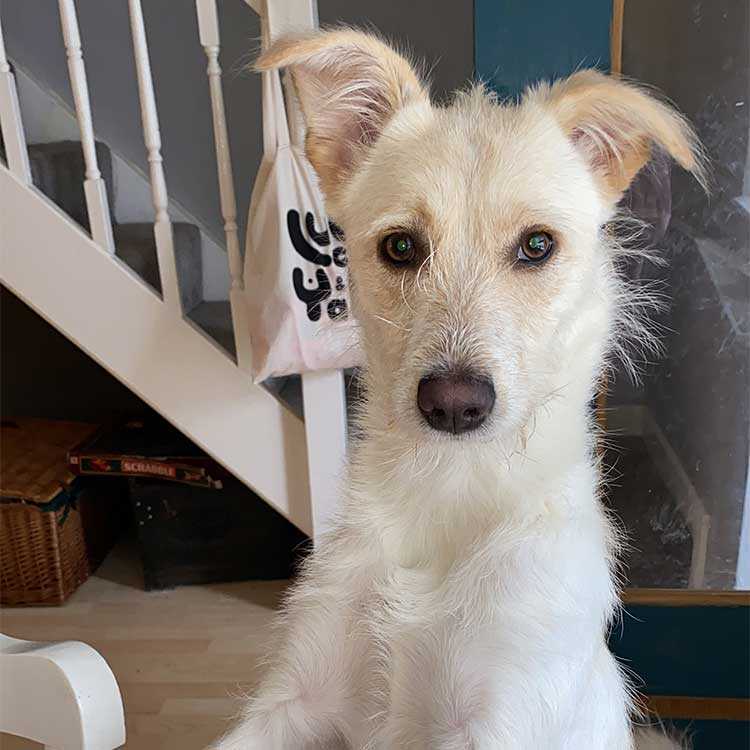 Patrizia and her sister may not know Bonnie’s history, but one ...