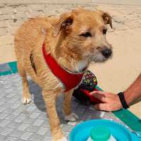 Even when Alyson’s illness stopped her from going outside, she was ...