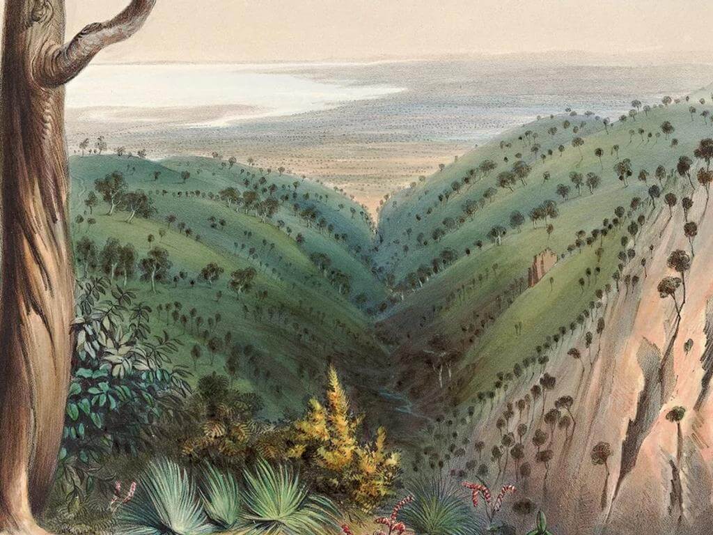 Illustrating The Antipodes: George French Angas In Australia And New ...