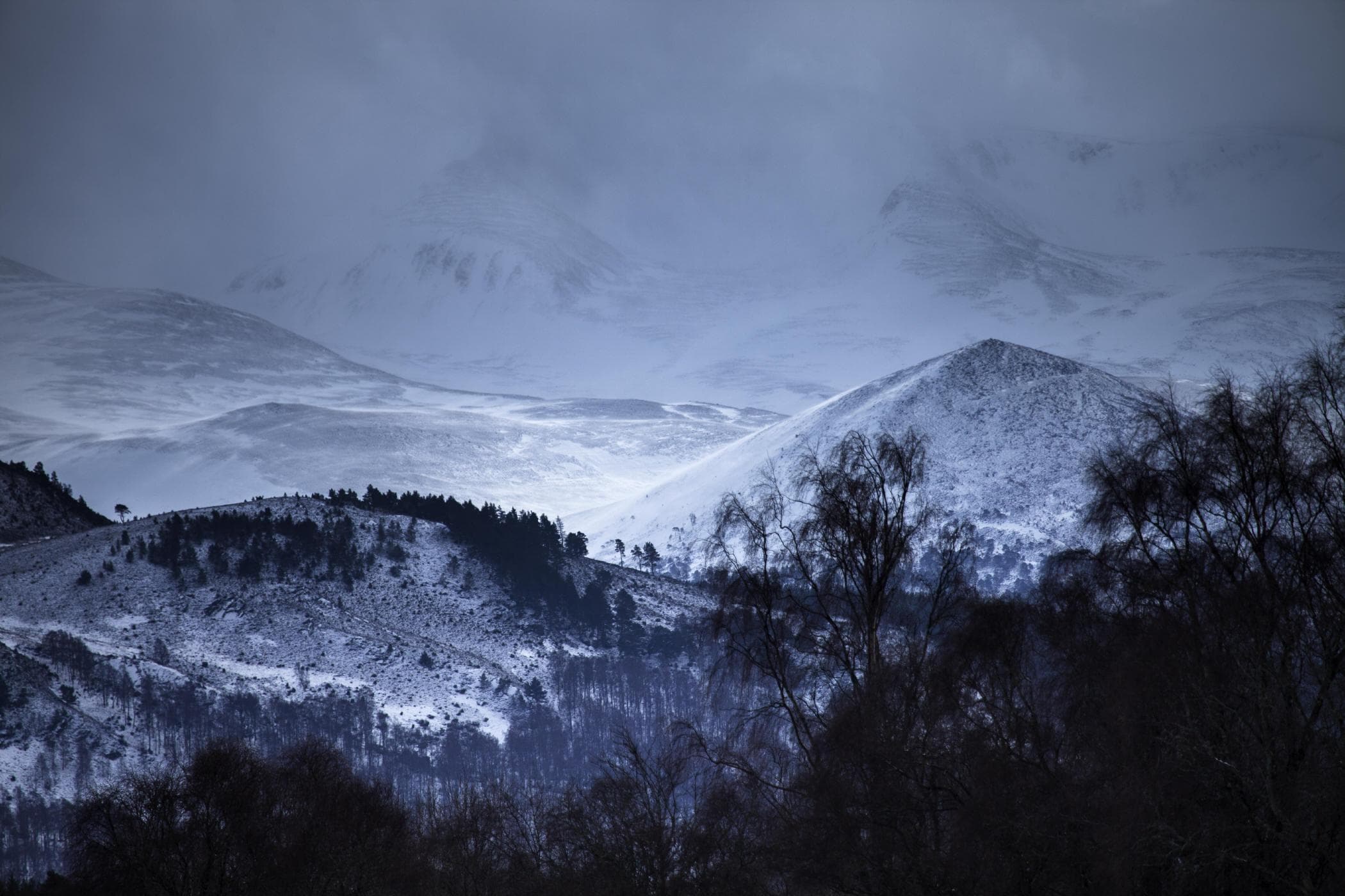 Success – 1896 Gallery