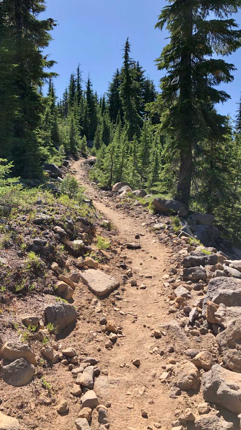 PCT 2019: Day 104, Stealth Site at Mile 1898.2 to Bradley Creek Trail ...