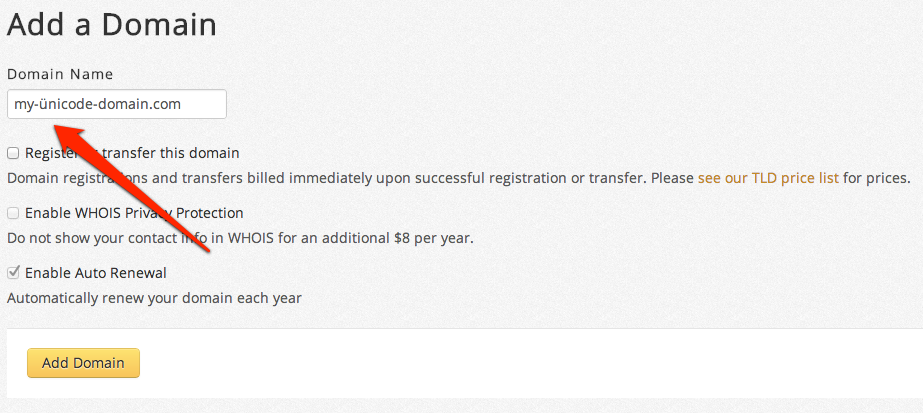 Extended DNS Hosting to All IDN Domains - DNSimple Blog