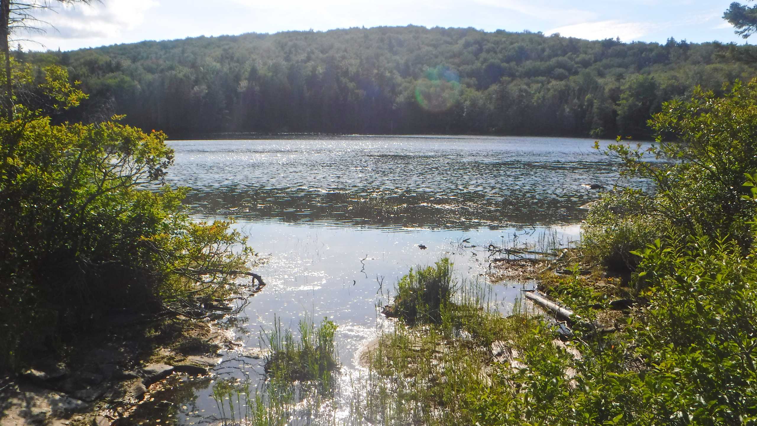 AT 2017: Day 126, Manchester Center to Lost Pond Shelter | Hike with ...