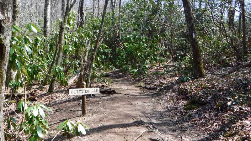 AT 2017: Day 9, Beech Gap to Rock Gap | Hike with Gravity