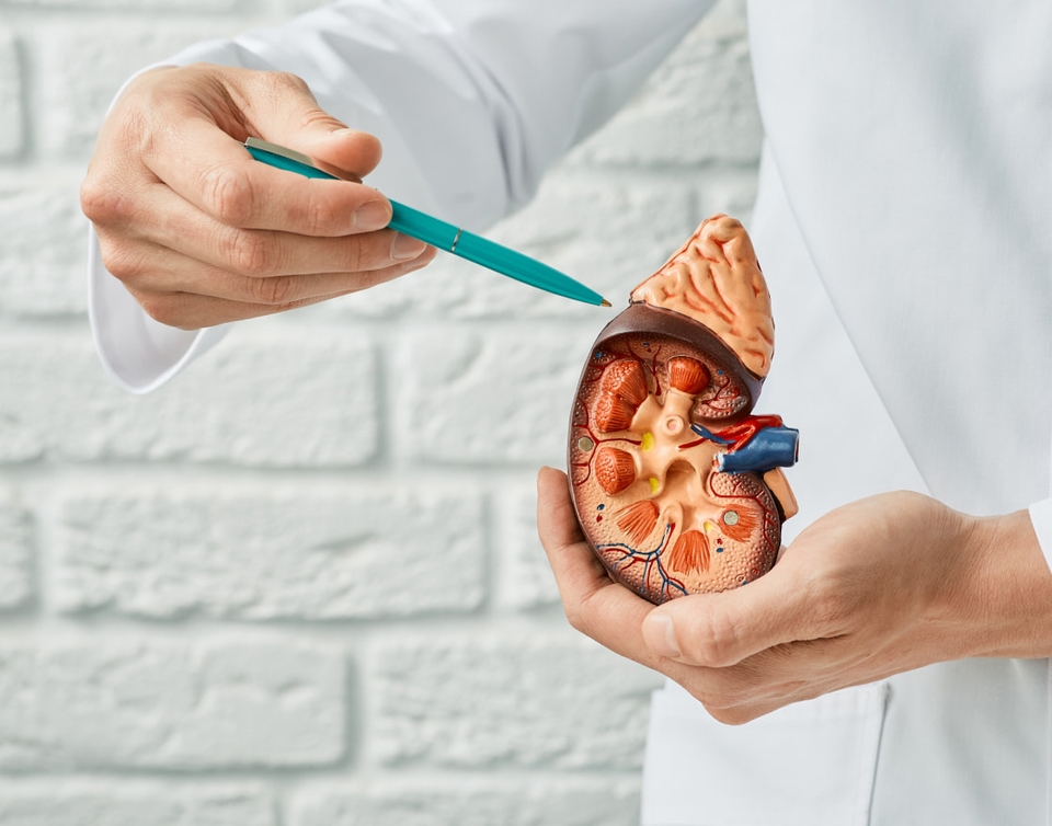 Coachella Valley Nephrology - Rancho Mirage