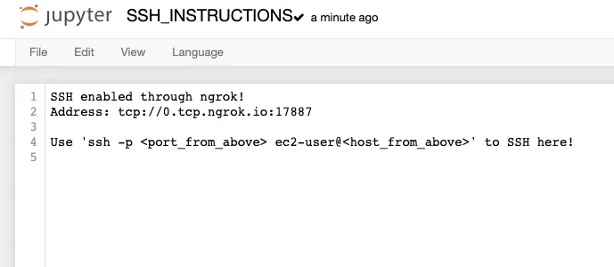 Using SSH with AWS SageMaker and Ngrok | Saturn Cloud Blog