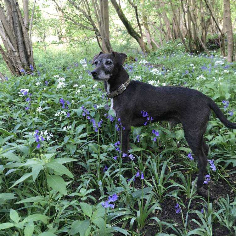 With Brodie around, Lara’s days are always filled with laughter