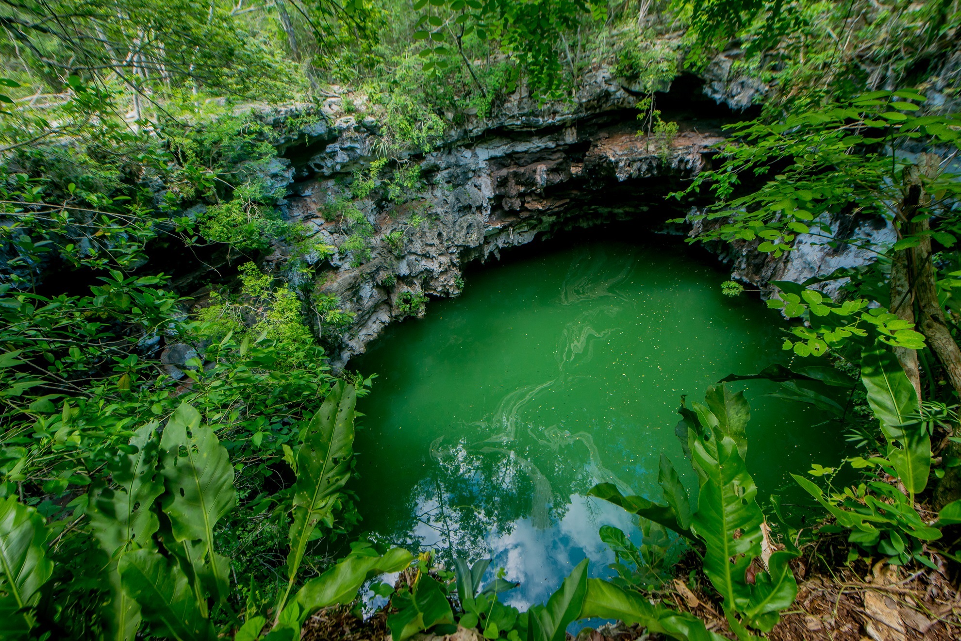 Los 7 cenotes