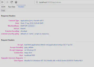 Alter response header in Web API to return machine name | no dogma blog
