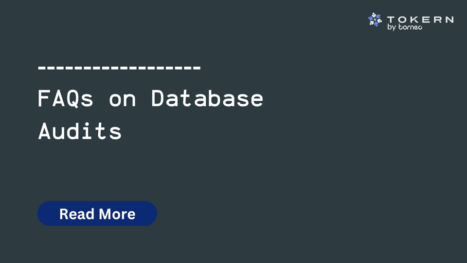 What is database auditing?