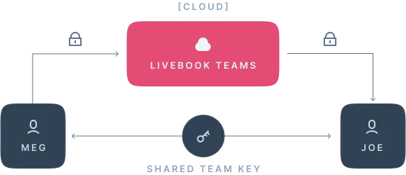 Teams - Livebook.dev