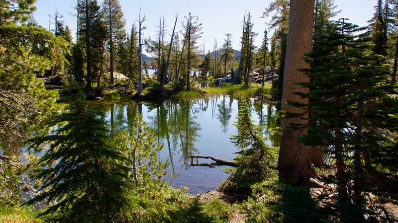 PCT 2019: Day 117, Tentsite at Mile 1115.1 to Tamarack Lake | Hike with ...