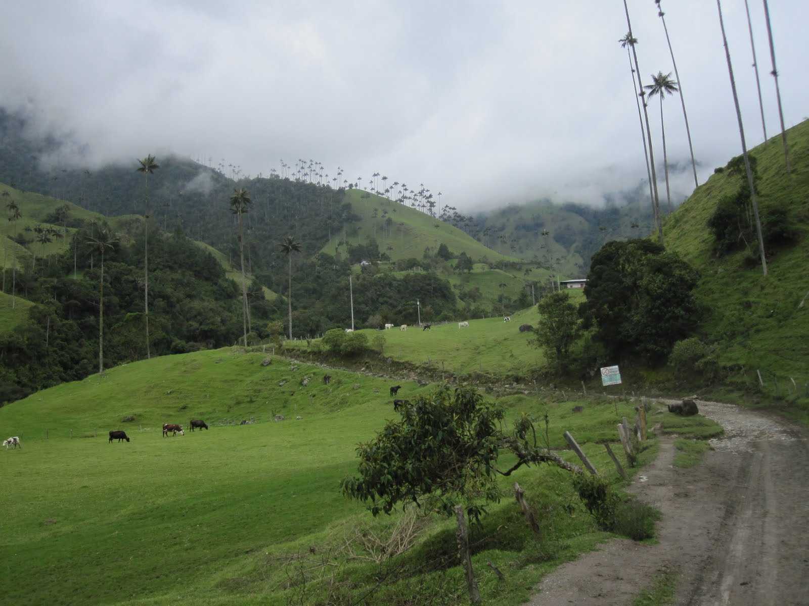 Articles page 2 | Leigh Halliday