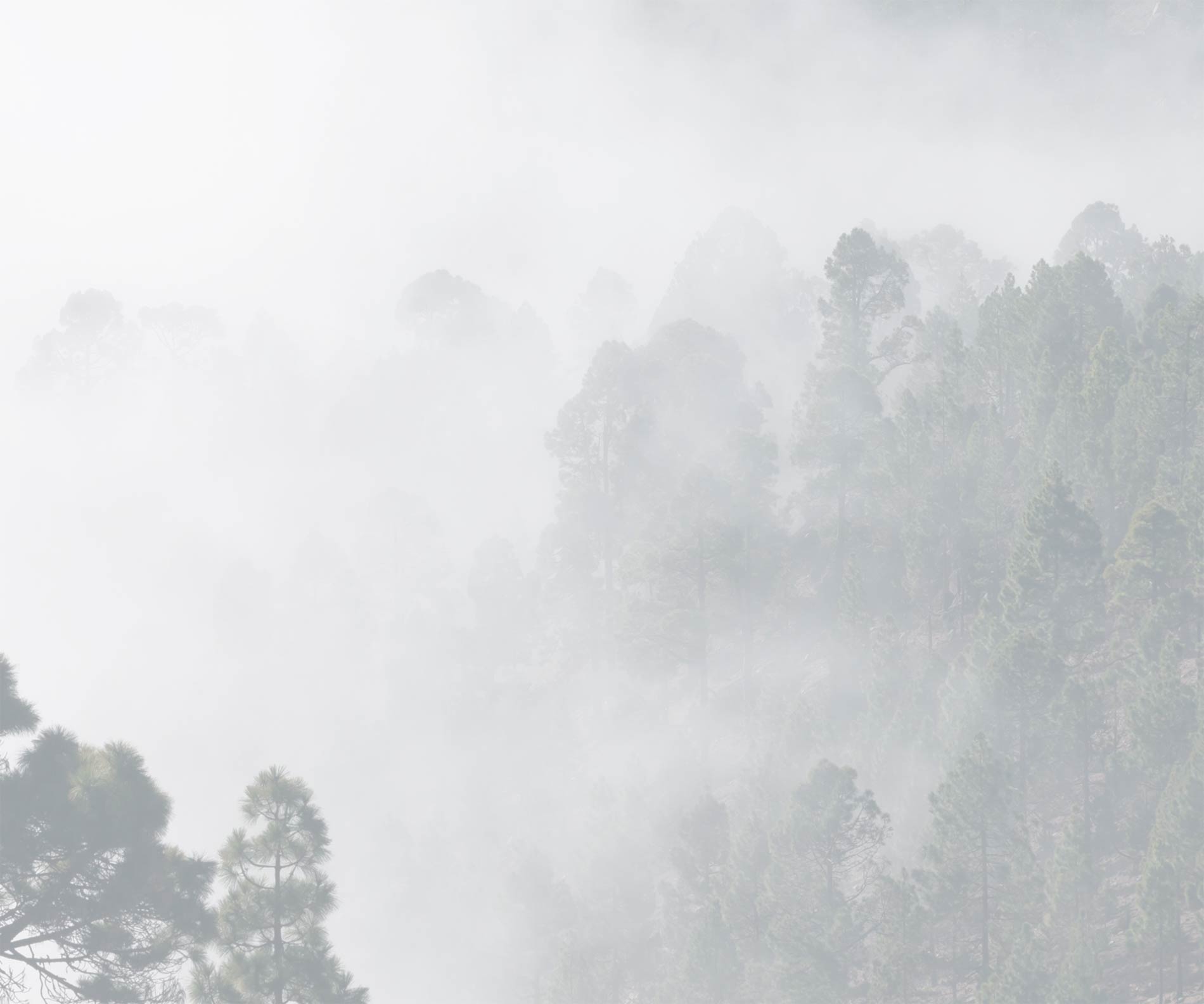 George M. Johnson – George M. Johnson