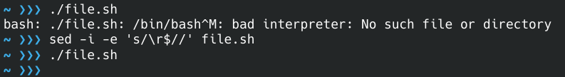 解决 Bash 中的 bad interpreter 错误 | D栈 - Delft Stack