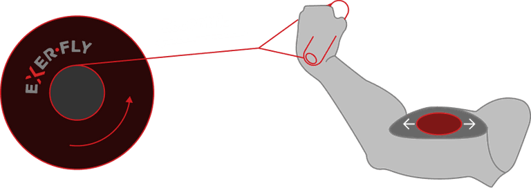 Advanced Flywheel Training Equipment - Exerfly Sport