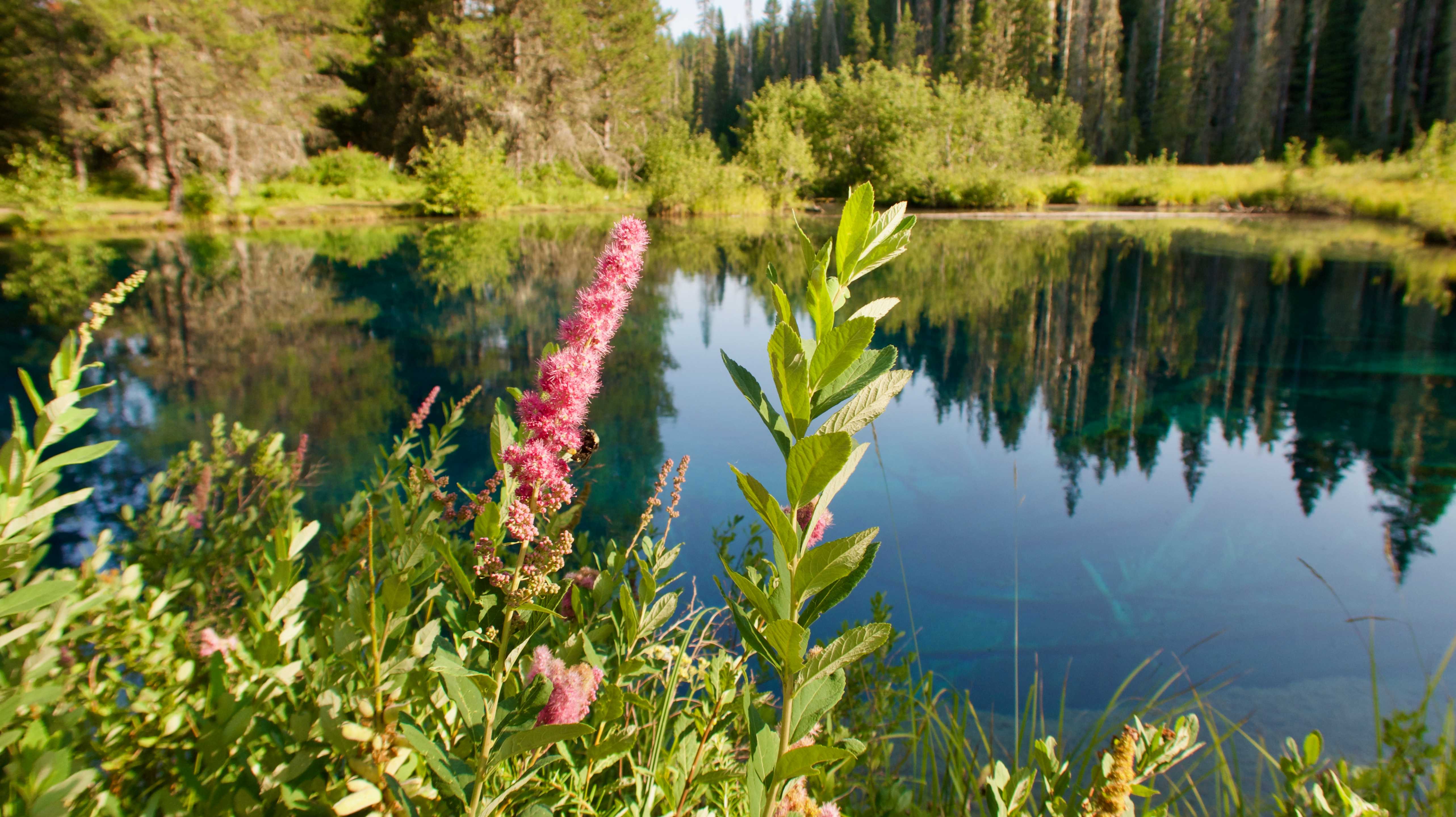 PCT 2019: Day 93, Timberline Lodge to Timothy Lake | Hike with Gravity