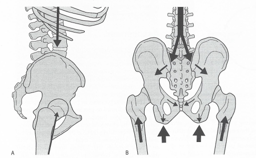 Pelvic Stability Dysfunction - The Vantage Clinic | Thame