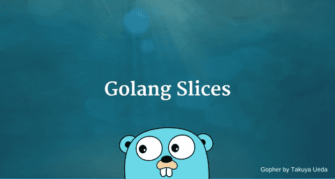 Introduction to Slices in Golang | CalliCoder