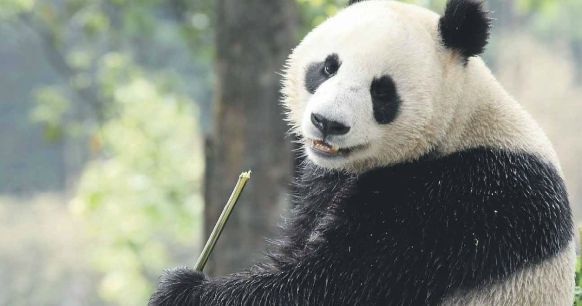 Pandas & Seaborn - A guide to handle & visualize data in Python | Tryolabs