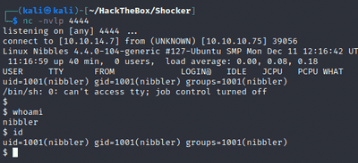 🥇 HTB solución NIBBLES Writeup | htbwriteups.com