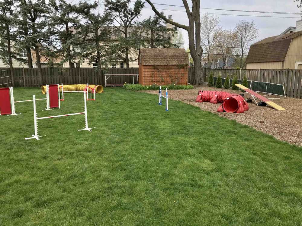 My Home Agility All Season Practice Area | AgilityNerd