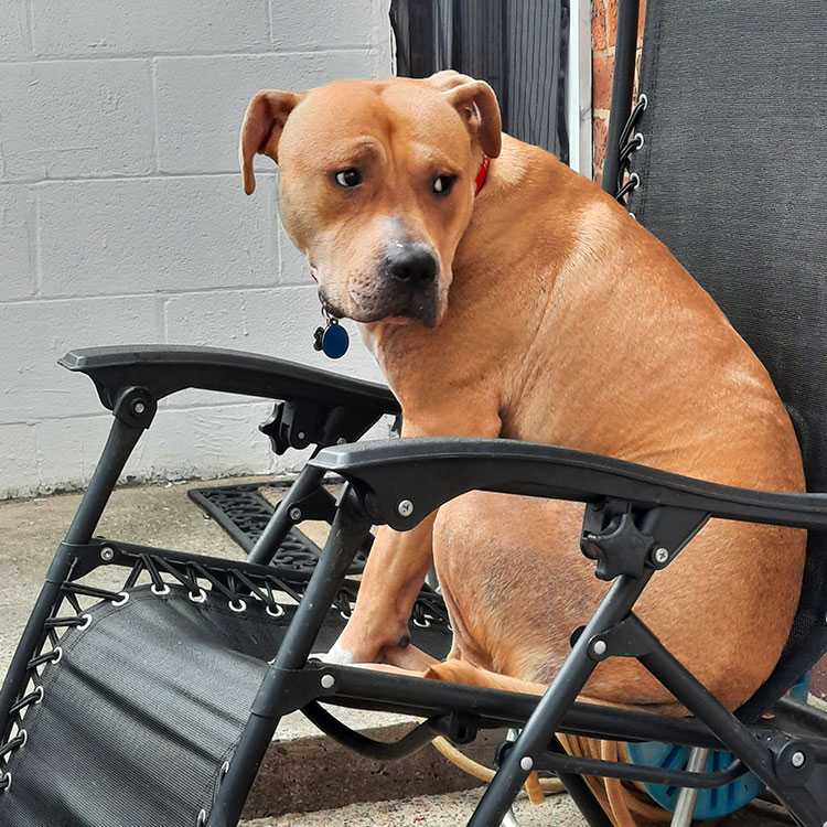 Whether he’s playing with his toys or cuddling up to her on the sofa ...