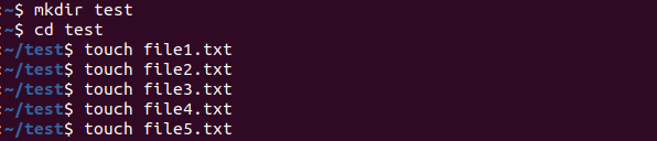 Bucle sobre archivos en el directorio en Bash | Delft Stack