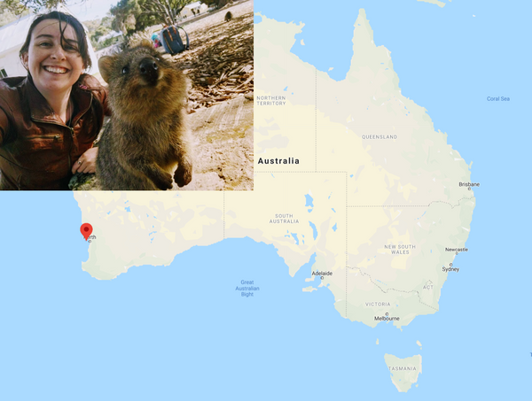 Building Quokkabot Part 1: Quokkas on Demand | Amy's Blog