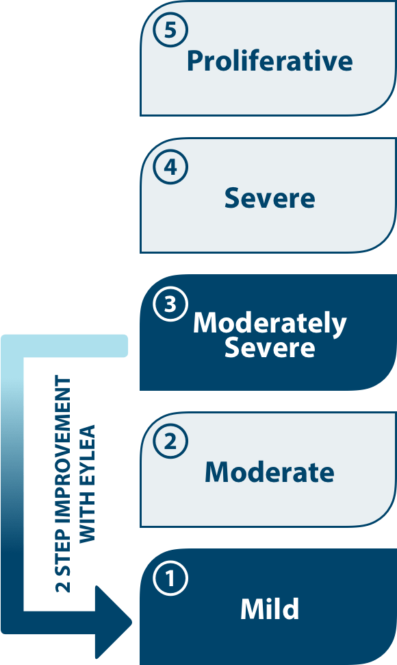 Anti-VEGF Treatment for Diabetic Retinopathy (DR)