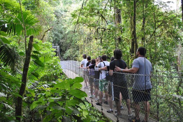 Natural History Walk Arenal Hanging Bridges