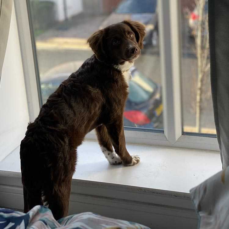 Both Daniel and Coco have overcome hardship to be all smiles with each ...