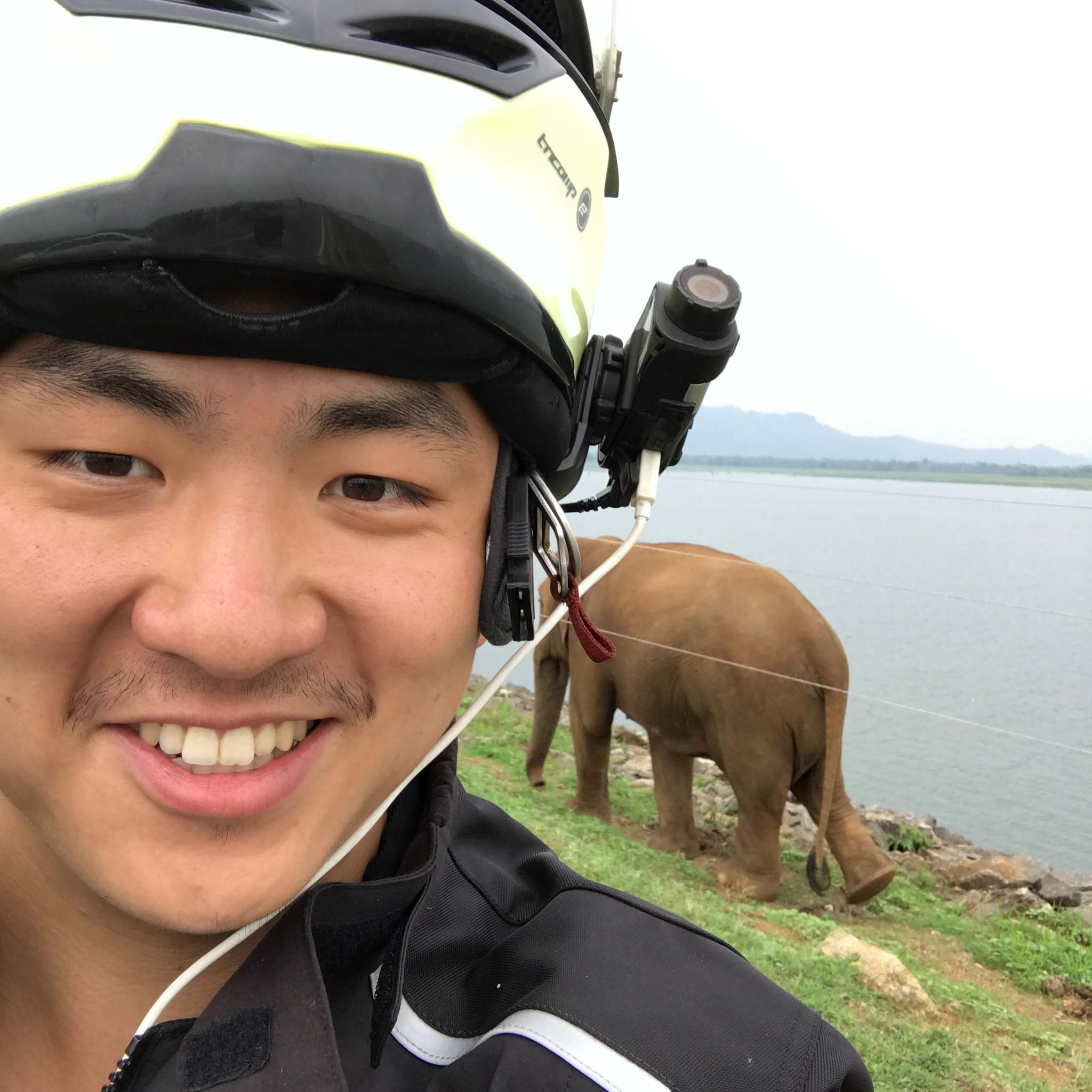 Infographics | Meet Edbert